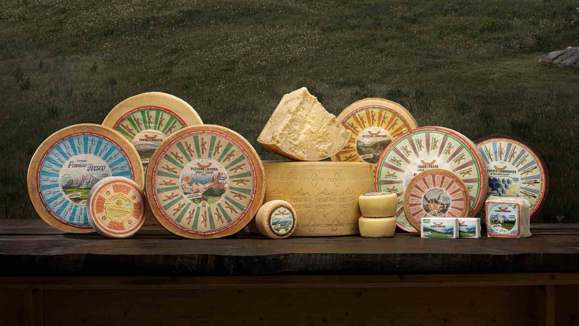 Formaggi tipici trentini: quali sono e dove trovarli | Trentingrana